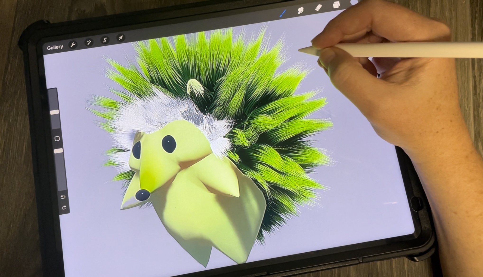 Wee Widdle Wishes - Fantasy Fun for Your Little One